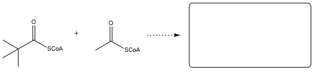 Solved + Hari ini SCOA SCOA | Chegg.com