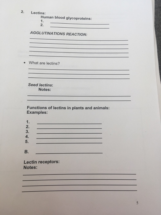 Solved 2. Lectins: Human blood glycoproteins: 2. | Chegg.com