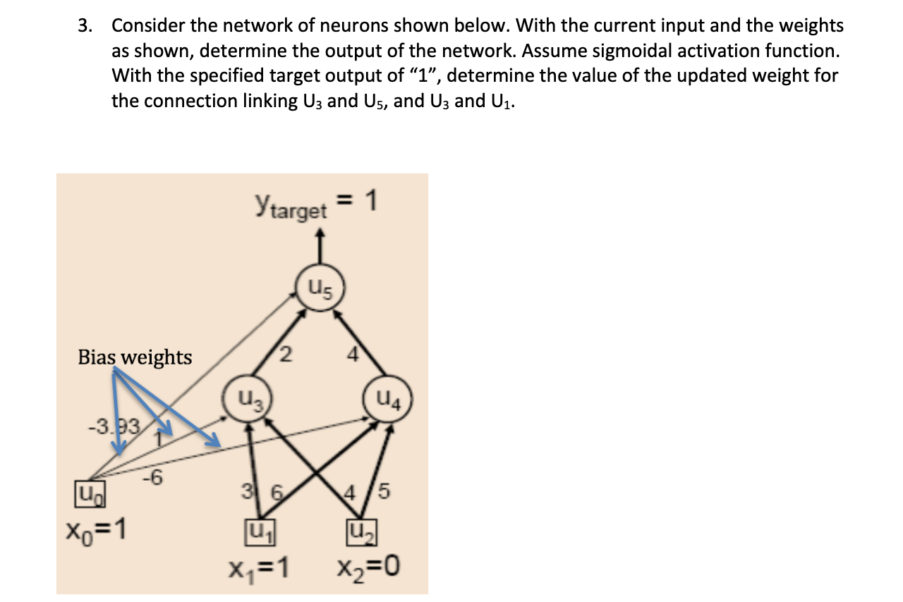 Solved Consider the network of neurons shown below. With the | Chegg.com