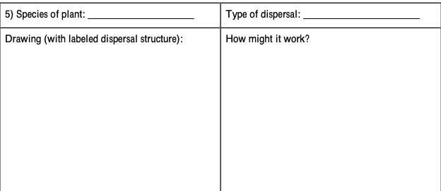 Solved 5) Species of plant: Type of dispersal: How might it | Chegg.com