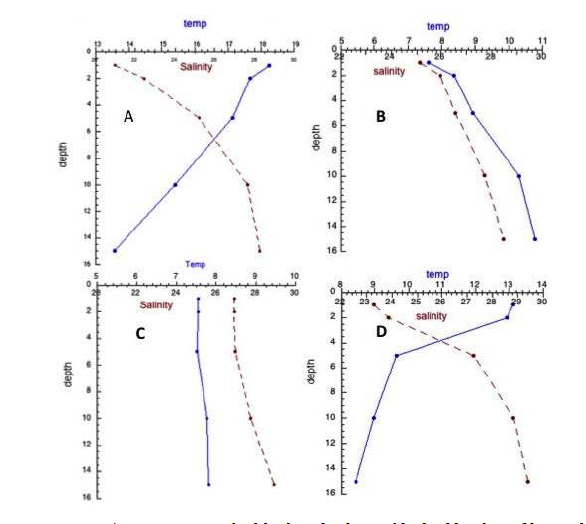 Solved Temperature/salinity vs depth profile. Please look | Chegg.com