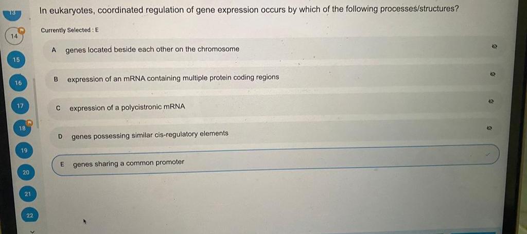 Solved In eukaryotes, coordinated regulation of gene | Chegg.com