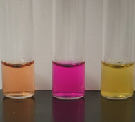 Solved 18. What is the highly branched form of starch | Chegg.com