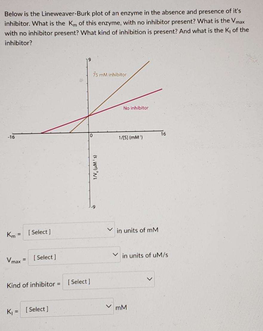 Solved Below is the Lineweaver-Burk plot of an enzyme in the | Chegg.com