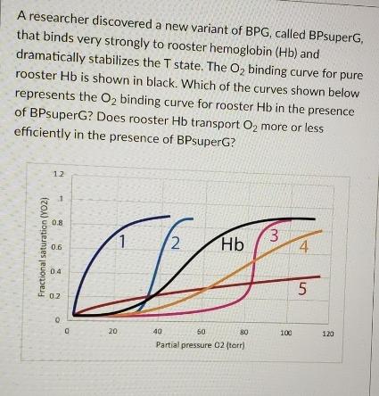 Solved A researcher discovered a new variant of BPG, called | Chegg.com