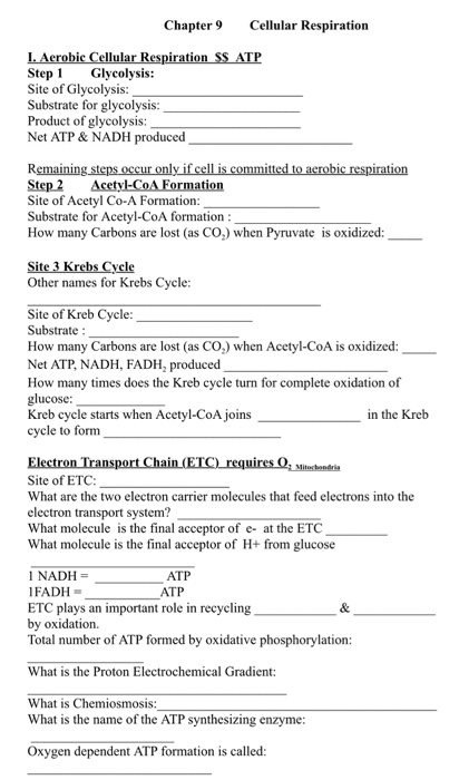 Solved Chapter 9 Cellular Respiration Step Glycolysis: Site | Chegg.com