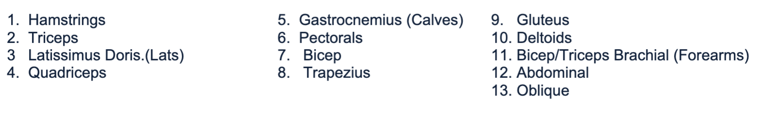 Solved 13 MAJOR MUSCLE GROUPS Label the figures below by | Chegg.com