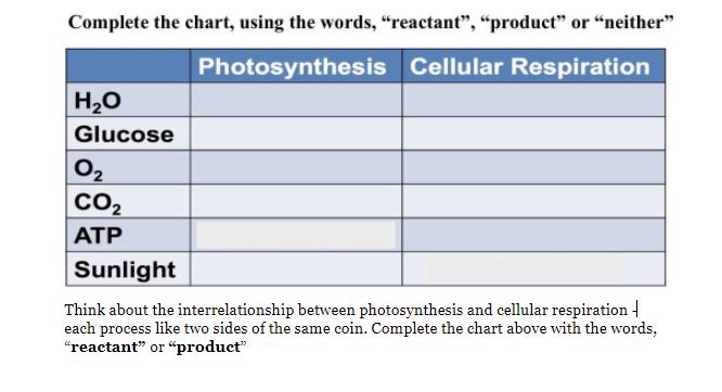 Cellular Respiration Reactants And Products Chart