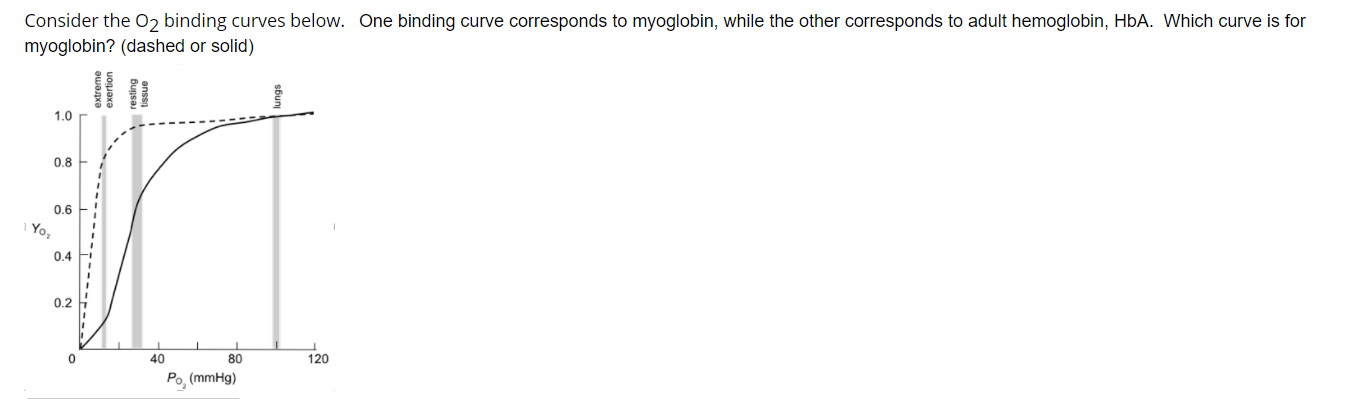 Solved Consider the O2 binding curves below. One binding | Chegg.com