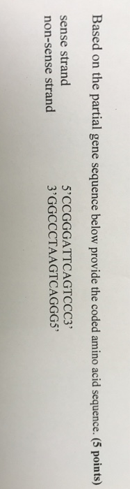 Solved Based on the partial gene sequence below provide the | Chegg.com