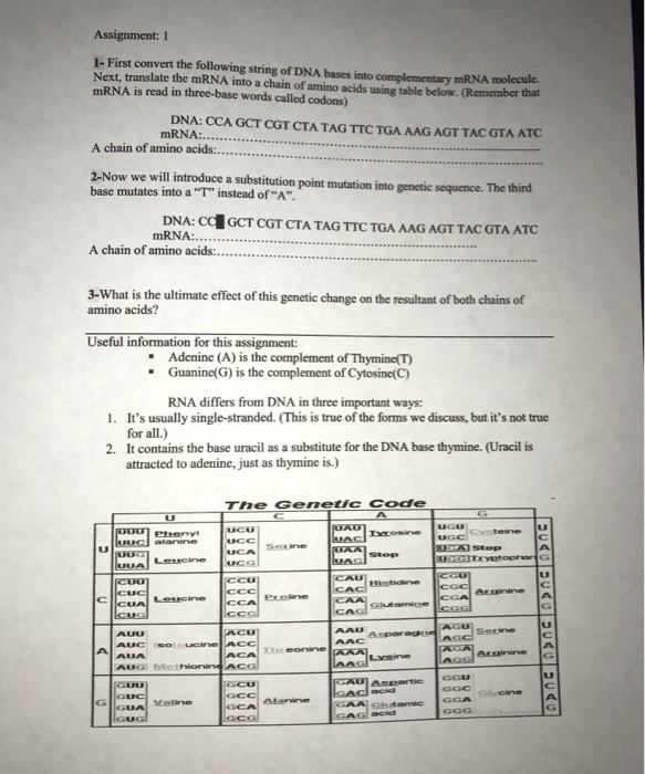 Solved Assignment: 1 1- First convert the following string | Chegg.com