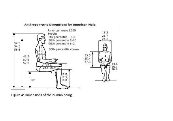 Anthropometric Dimensions for American Male American | Chegg.com