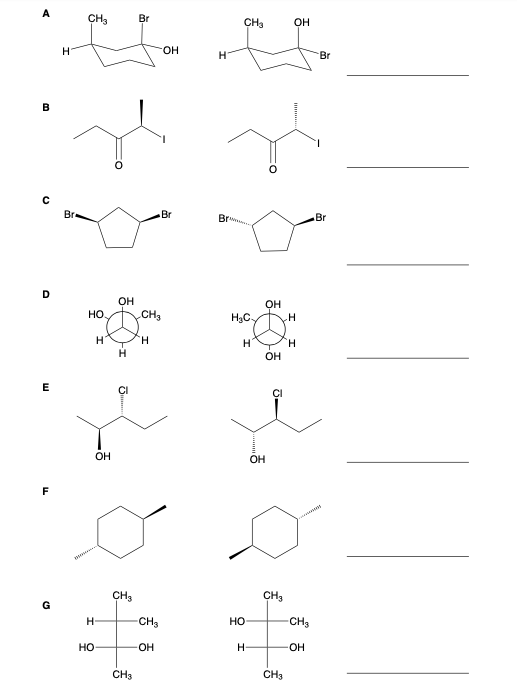 Solved Identify the relationship between the following pairs | Chegg.com