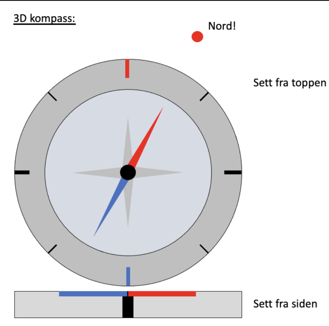 Solved THE TASK The task involves developing a WebGL program | Chegg.com