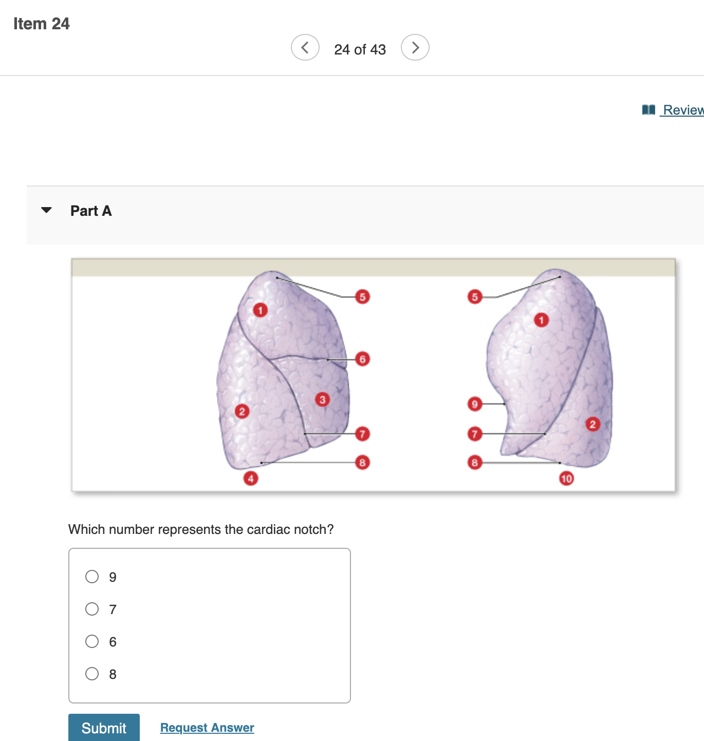 Solved 4 of 43 Part A The respiratory system protects | Chegg.com