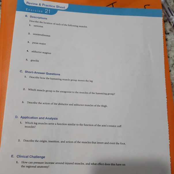 Solved Review & Practice Sheet Exercise 21 B. Descriptions | Chegg.com