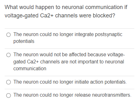 Solved What would happen to neuronal communication if | Chegg.com