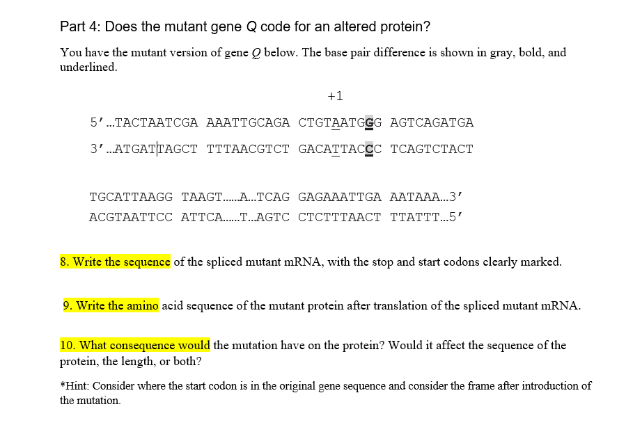 Solved Part 4: Does the mutant gene Q code for an altered | Chegg.com