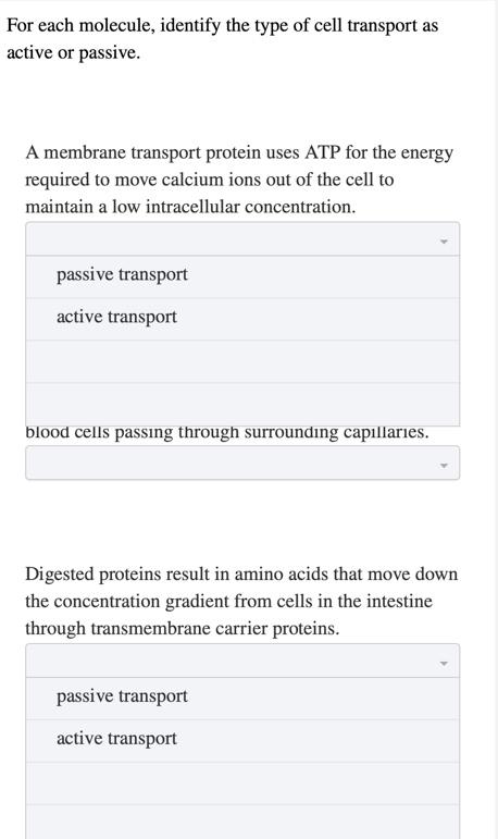 Solved For each molecule, identify the type of cell | Chegg.com