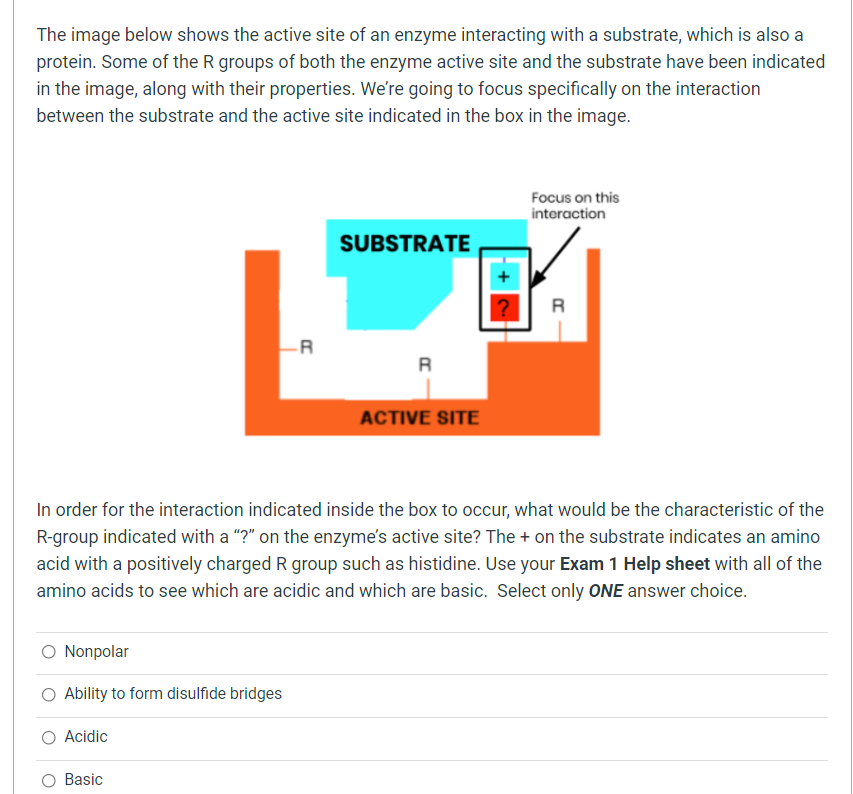 Solved The image below shows the active site of an enzyme | Chegg.com