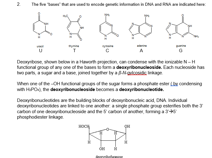 Solved Use this information to construct the molecular | Chegg.com