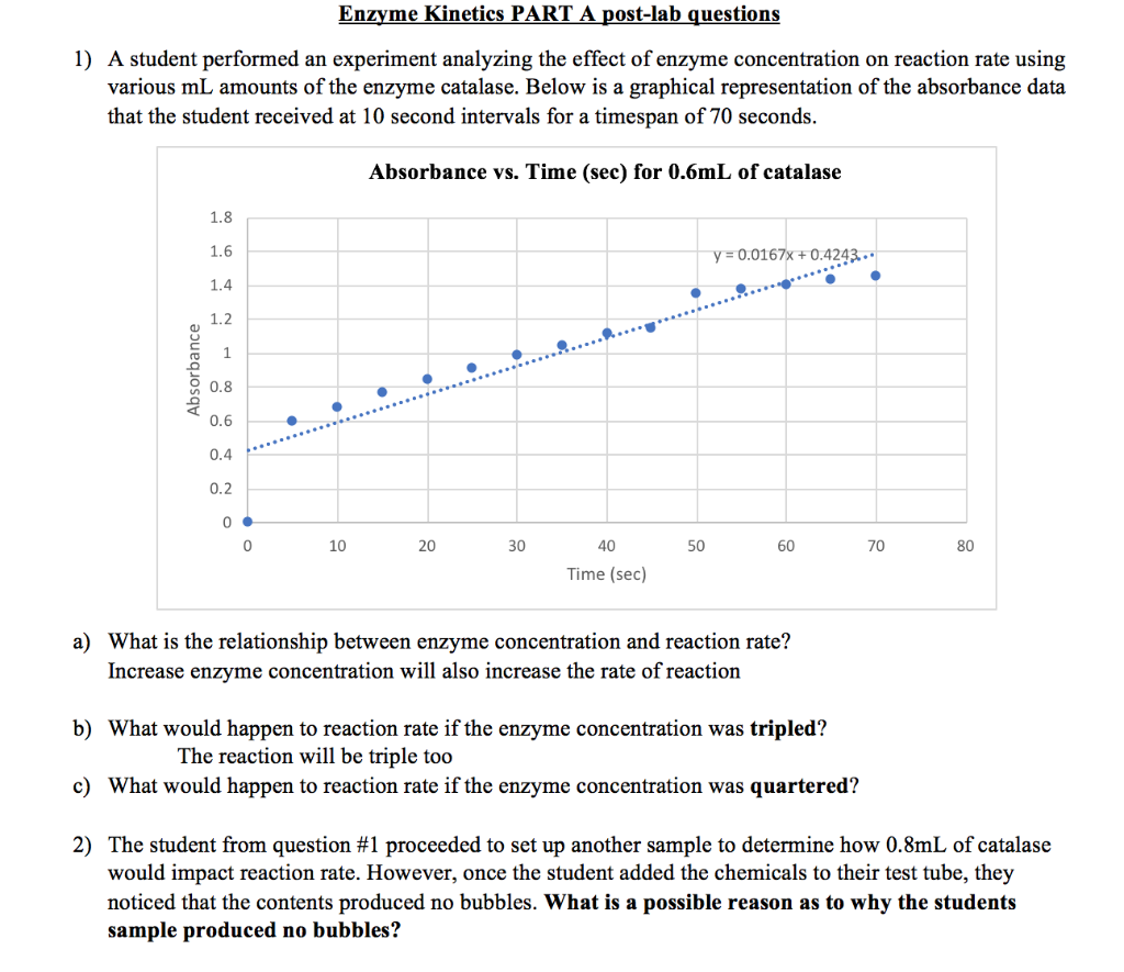 Solved Enzyme Kinetics PART A post-lab questions 1) A | Chegg.com