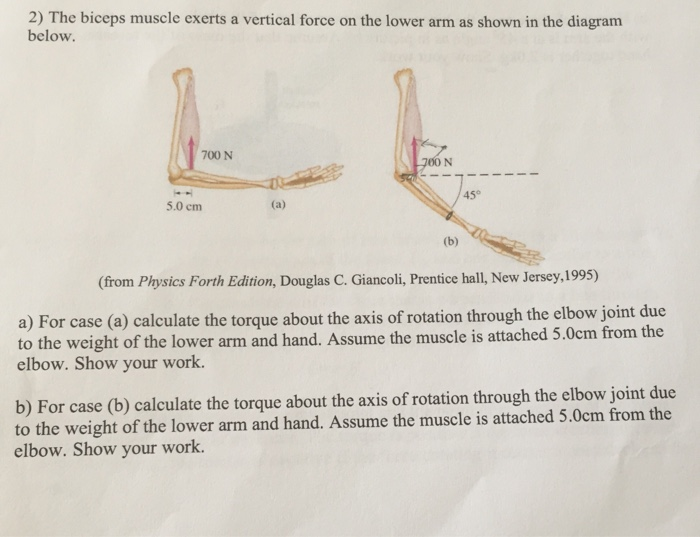 Solved 2) The biceps muscle exerts a vertical force on the | Chegg.com
