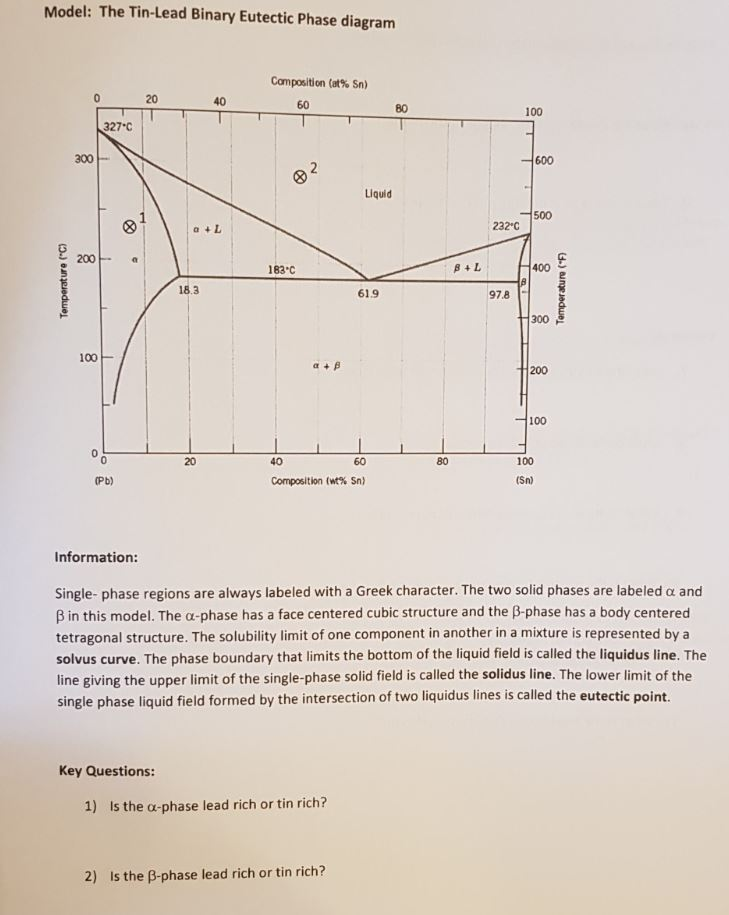 Solved Model: The Tin-Lead Binary Eutectic Phase diagram | Chegg.com