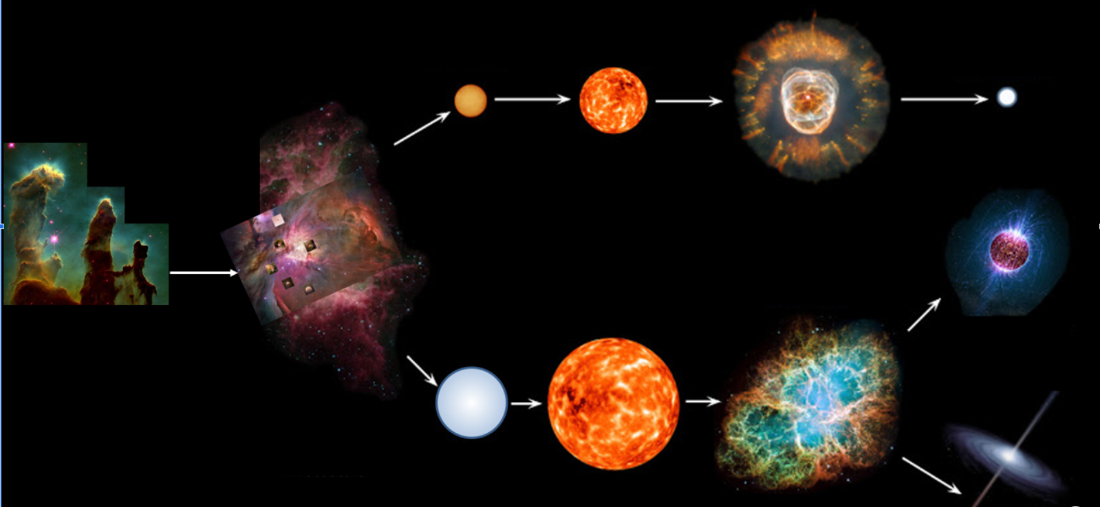Solved Describe what occurs in each stage of the star’s life | Chegg.com