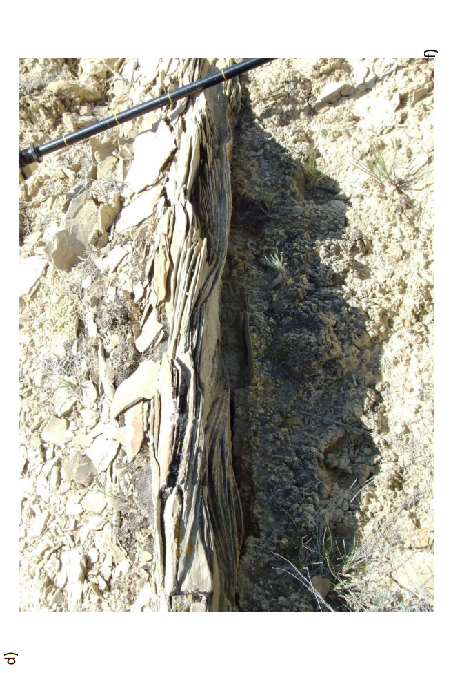 Solved Describe and interpret the strata shown in for the | Chegg.com