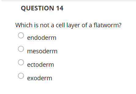 Solved QUESTION 14 Which is not a cell layer of a flatworm? | Chegg.com