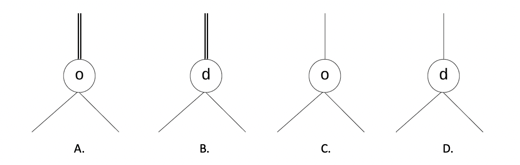 Solved Which of the following notation is the split for | Chegg.com