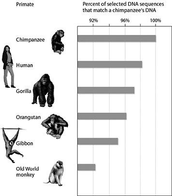 Solved 15.The accompanying figure shows the percent of | Chegg.com