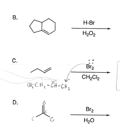 Solved B. H-Br H202 C. Br2 CH2Cl2 D. Br2 H20 | Chegg.com