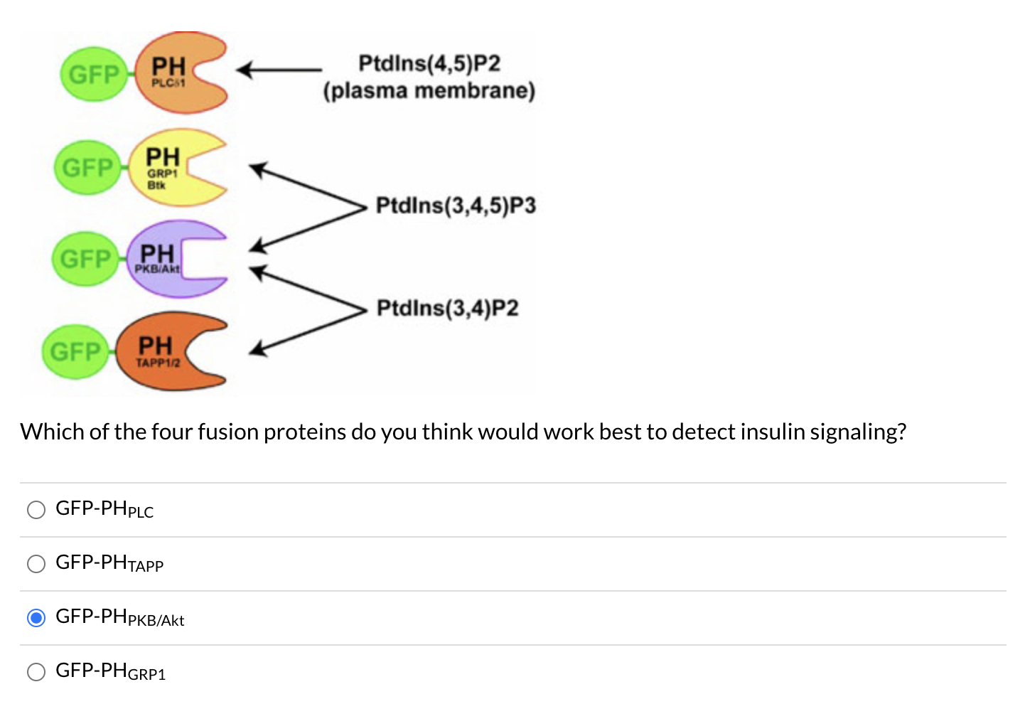 Solved In this lab you learned the basics of the GAL4-UAS | Chegg.com