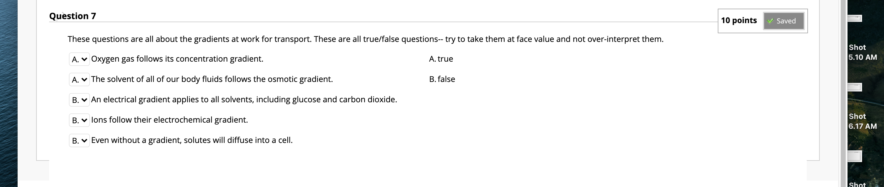 Solved Question 7 10 points Saved These questions are all | Chegg.com