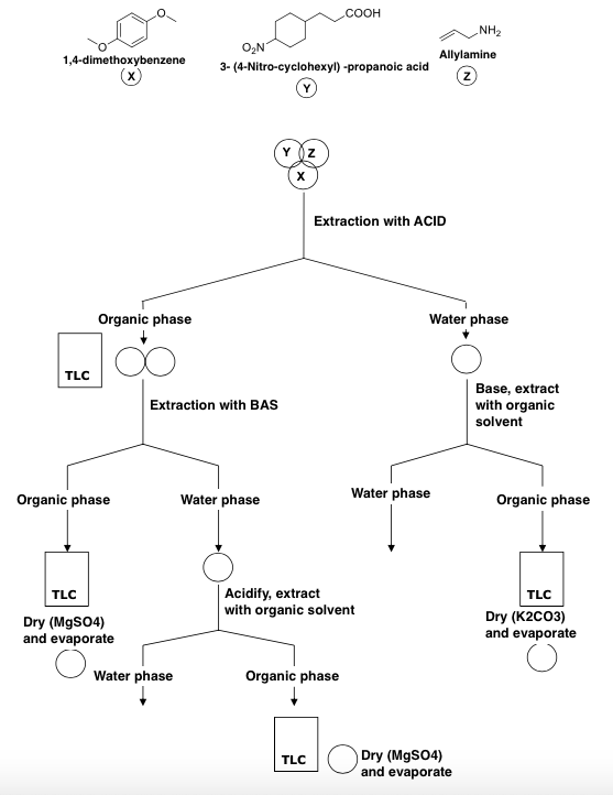 Solved Separation of a three-component mixture Extraktion | Chegg.com