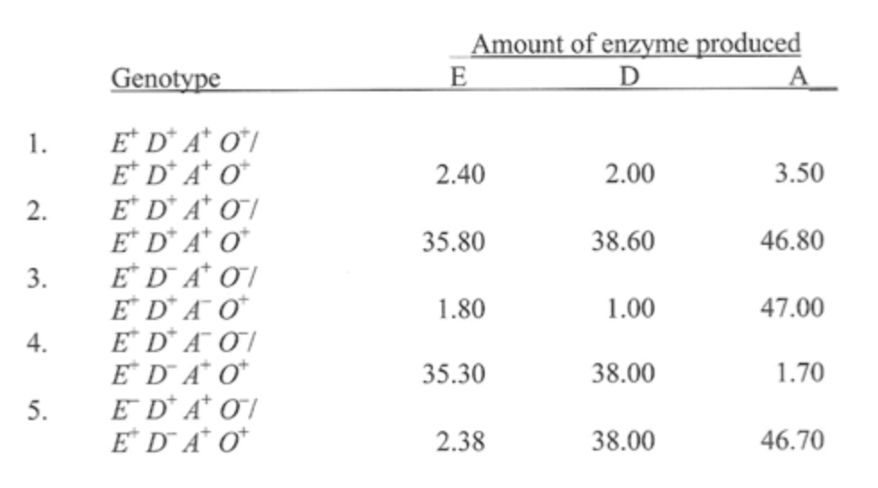 Solved In E. coli, three structural genes, A, D, and E | Chegg.com