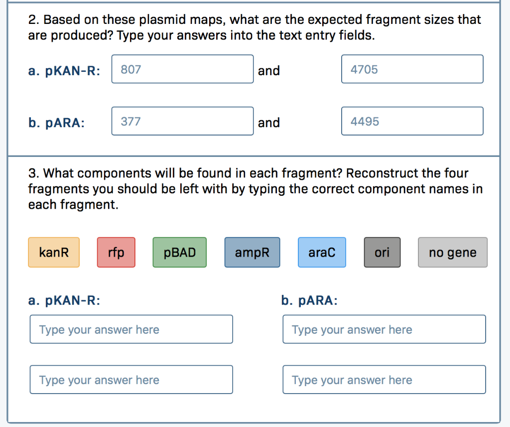 Solved The pKAN-R and PARA plasmids To clone the rfp gene, | Chegg.com