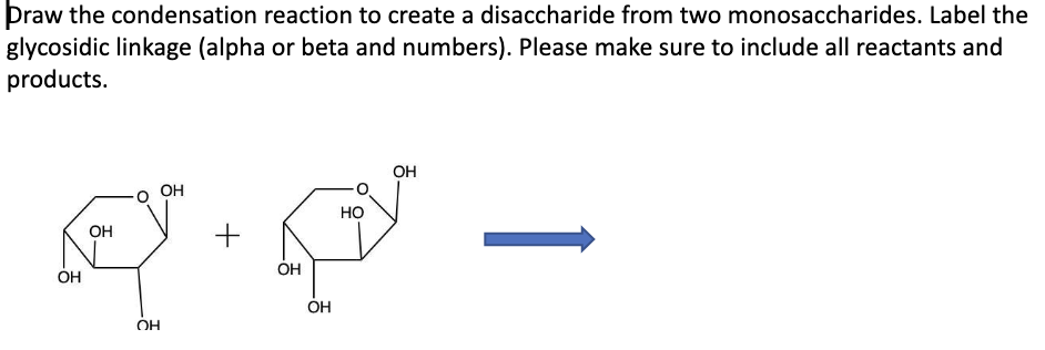 Solved Draw the condensation reaction to create a | Chegg.com