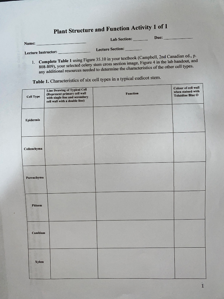 solved-plant-structure-and-function-activity-1-of-1-lab-chegg