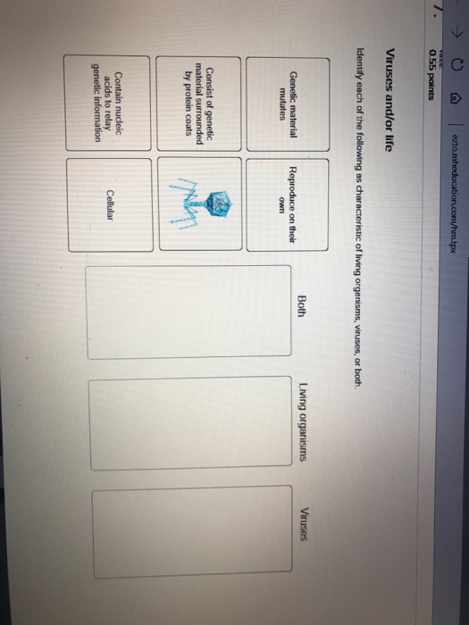Solved Viruses and/or life Identify each of the following as | Chegg.com