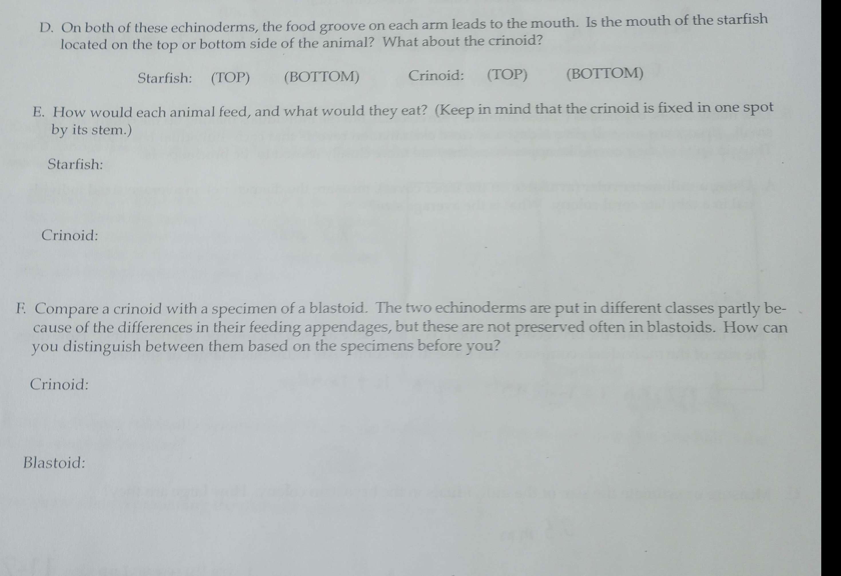 Solved D. ﻿On both of these echinoderms, the food groove on | Chegg.com