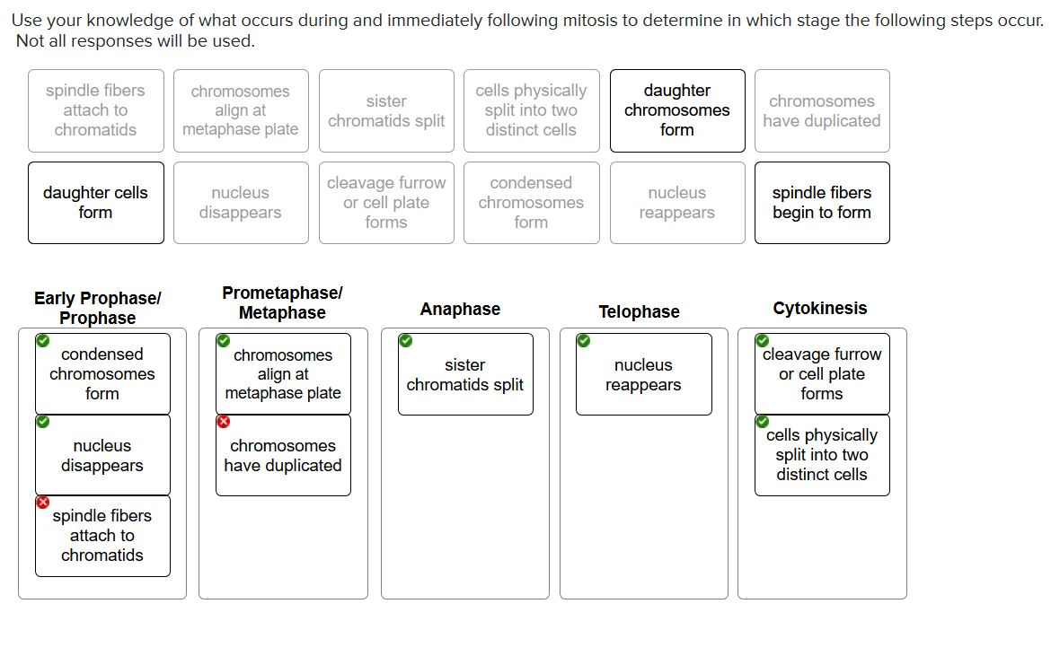Solved Use Your Knowledge Of What Occurs During And Chegg solved-use-your-knowledge-of-what-occurs-during-and-chegg