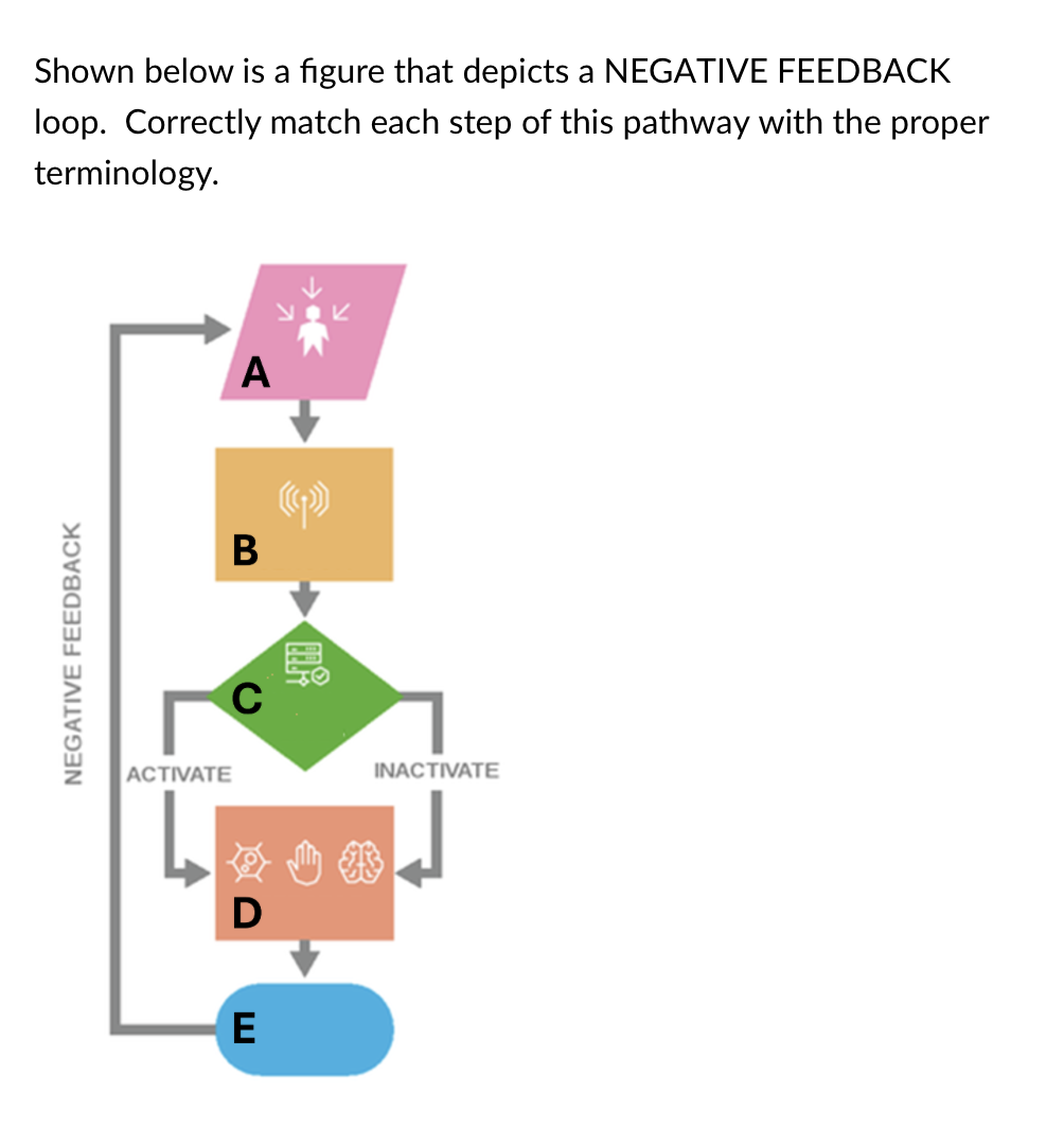 Solved Shown below is a figure that depicts a NEGATIVE | Chegg.com