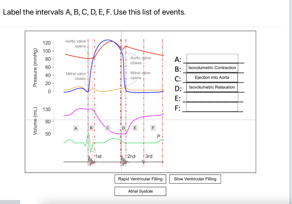 Label the intervals A,B,C,D,E,F. Use this list of | Chegg.com
