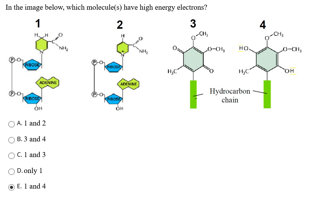 Solved In the image below, which molecule(s) have high | Chegg.com