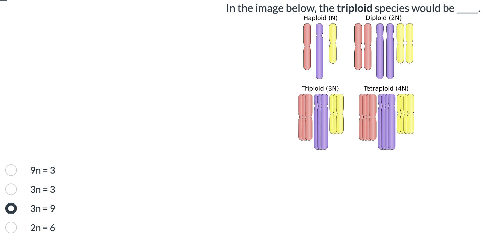 Solved O 9n = 3 3n = 3 3n = 9 2n = 6 In the image below, the | Chegg.com