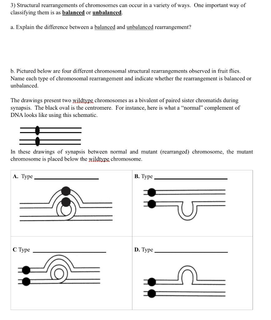 Solved ) Structural rearrangements of chromosomes can occur | Chegg.com