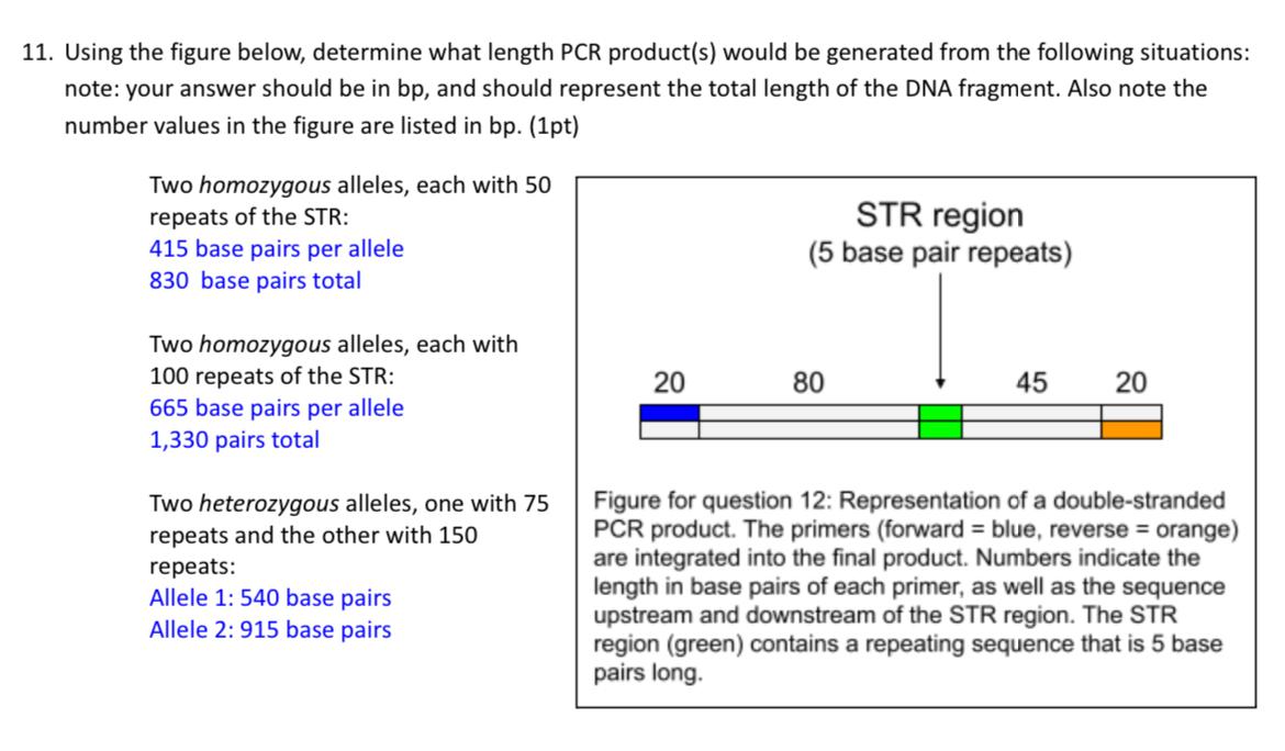 Solved 11. Using the figure below, determine what length PCR | Chegg.com